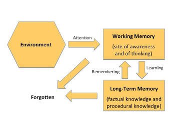 Strand overview - Support for early career teachers - GOV.UK