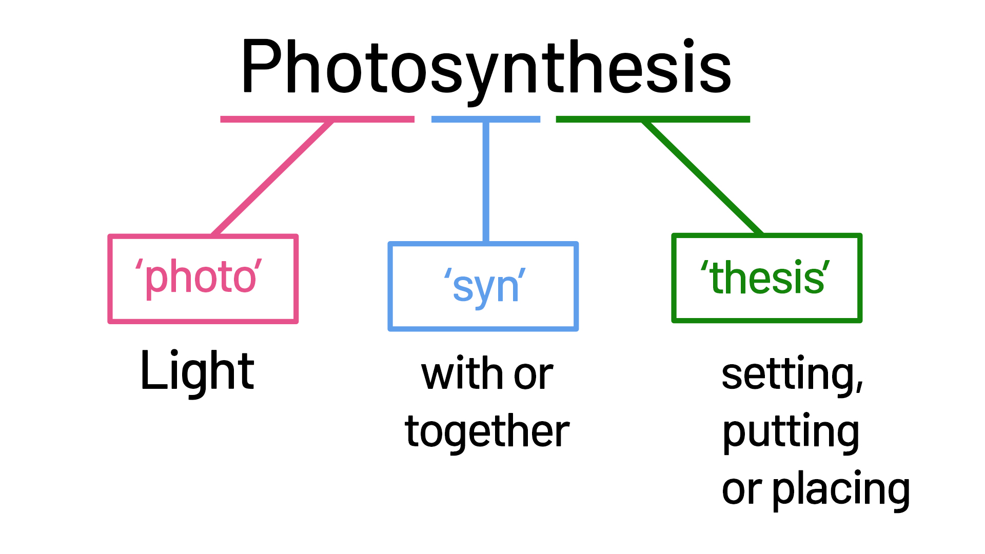 Theory - Support for early career teachers - GOV.UK